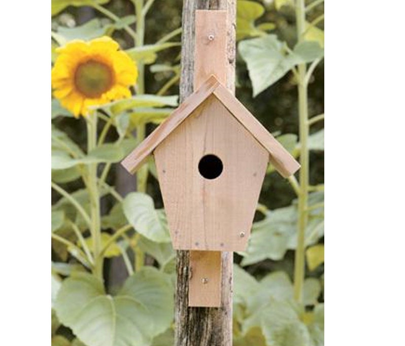 DIY Bird House PLANS Easy Beginner Garden Build Plans Vintage Instant ...
