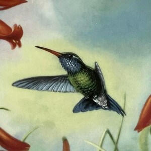 Vintage 1990 Pickard Gems of Nature Broad-billed Hummingbird Cyndi ...