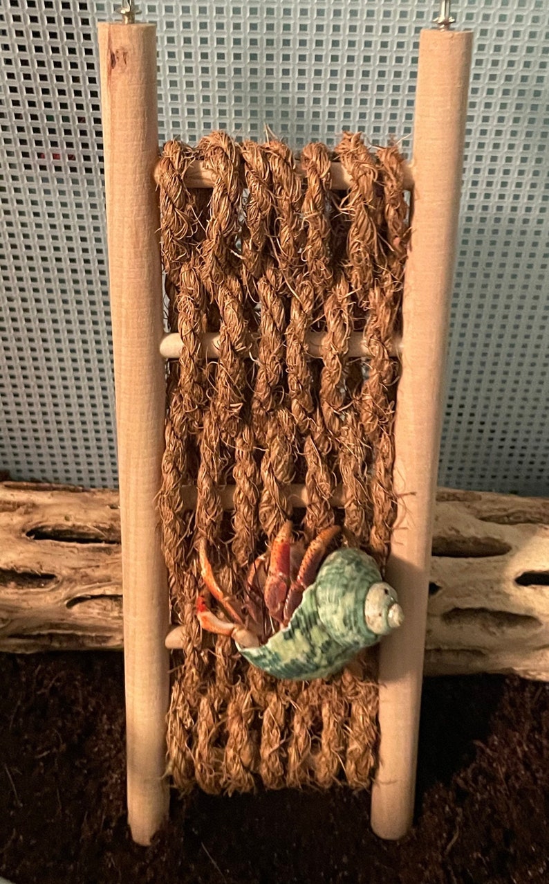Rope/wood Climbing Ladder/bridge for Hermit Crabs Small - Etsy