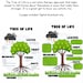 Tree of Life Narrative Therapy Worksheet (digital Download) - Etsy