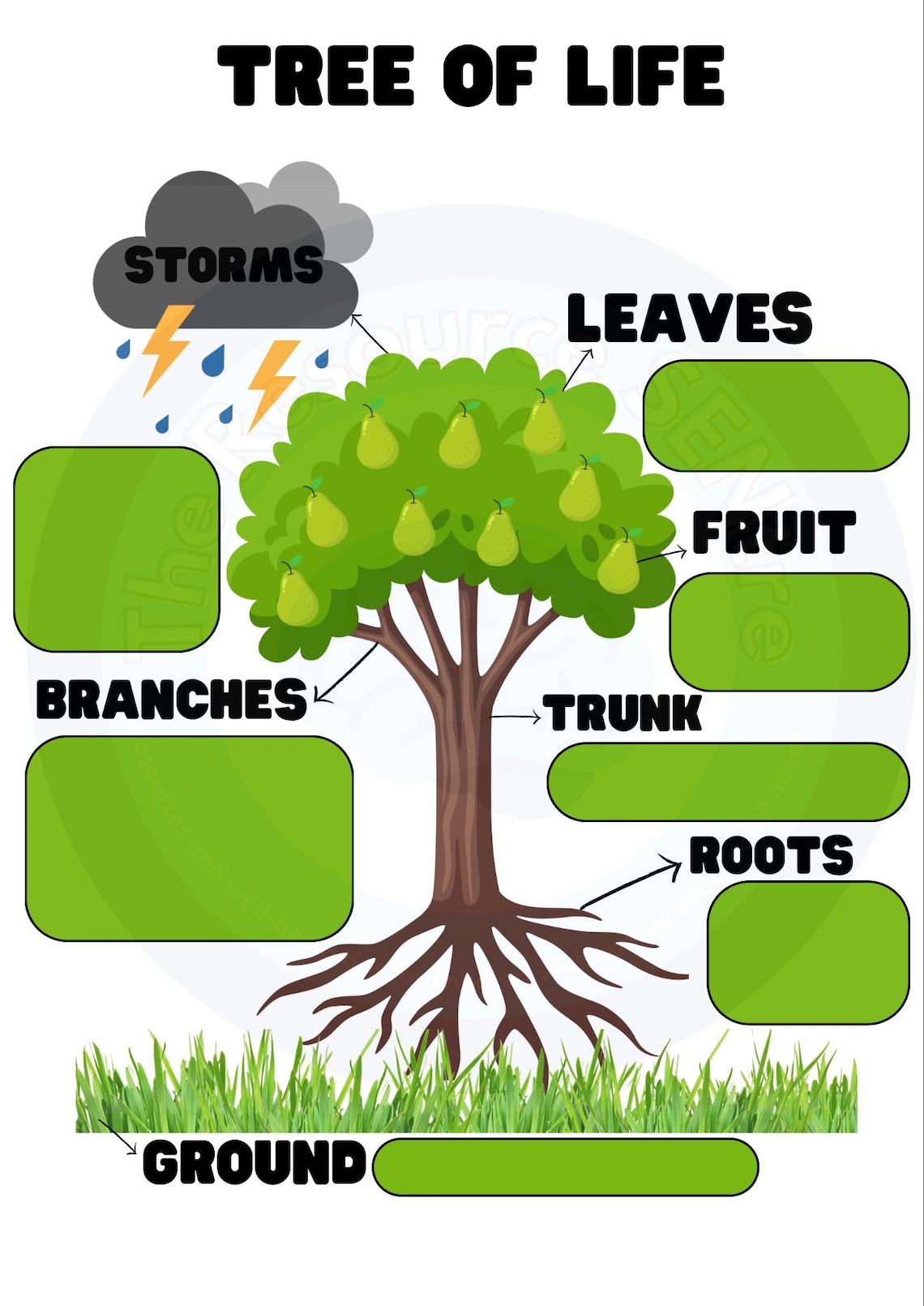 Tree of Life Narrative Therapy | Narrative Therapy | Narrative Therapy ...