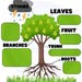 Tree of Life Narrative Therapy Worksheet (digital Download) - Etsy