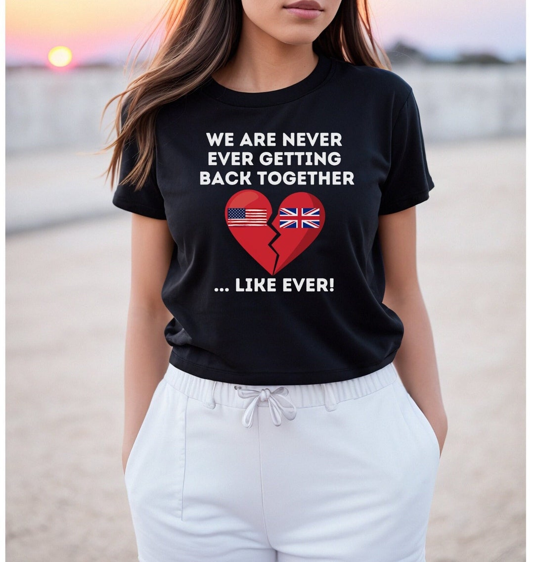 American History T-shirt, History Teacher Shirt, Funny History Shirts ...