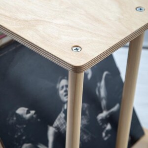 Vinyl Record Storage - Vinyl Record Organizer on Wheels - Rolling Vinyl ...