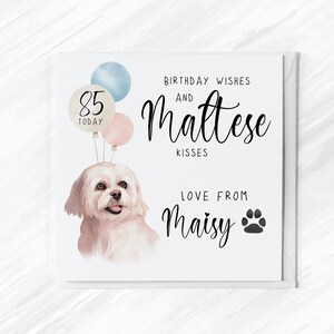 Maltese Birthday Card Happy Birthday From the Maltese - Etsy