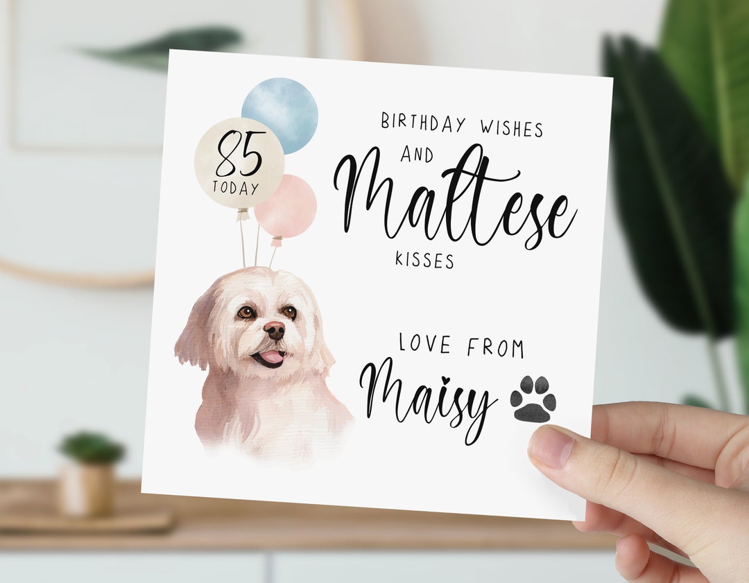 Maltese Birthday Card | Happy Birthday From the Maltese | Maltese ...
