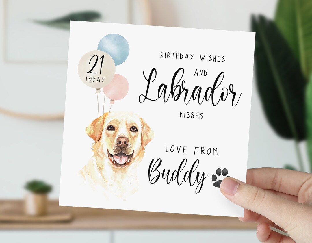 Labrador Birthday Card | Happy Birthday From the Labrador | Labrador ...