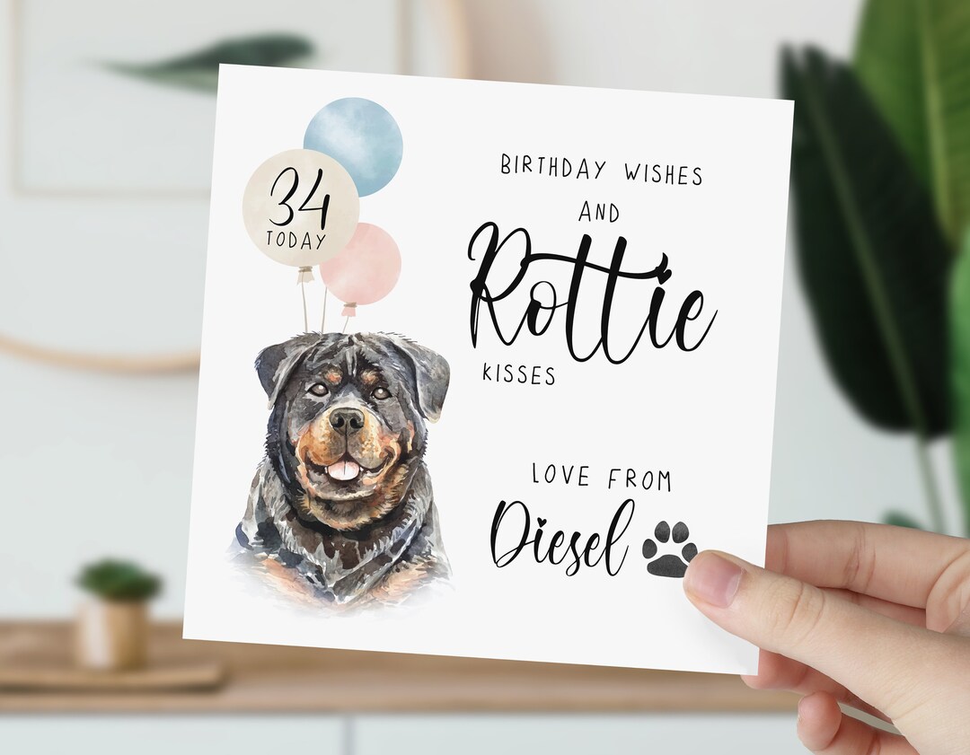Rottweiler Birthday Card | Happy Birthday From the Rottie | Rottweiler ...