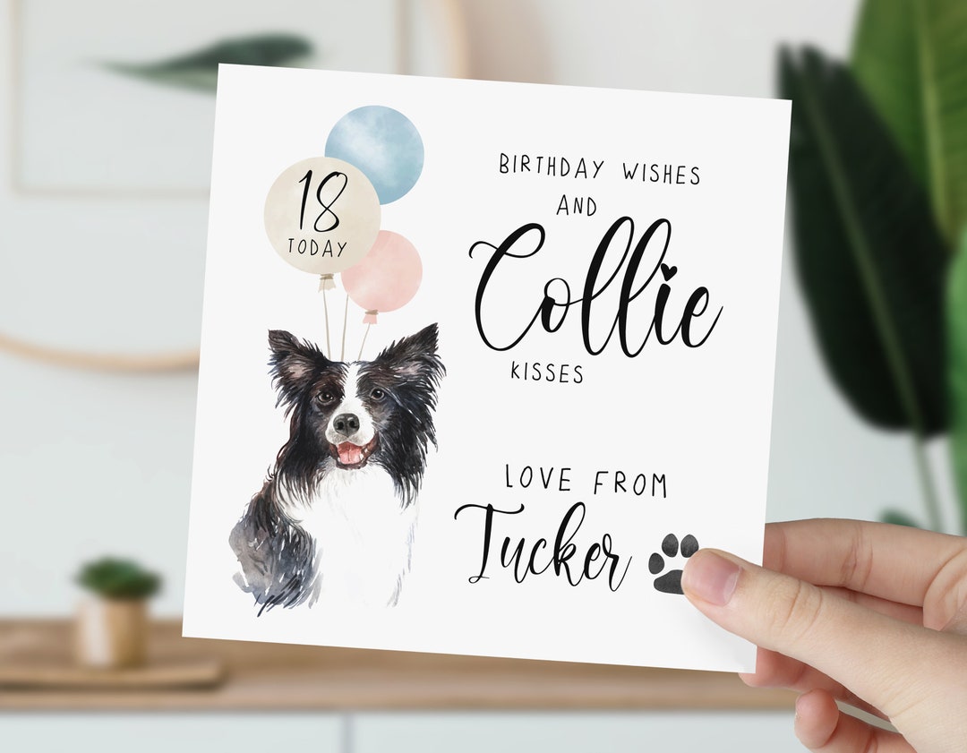 Collie Birthday Card | Happy Birthday From the Collie | Collie Lovers ...