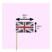 Eurovision Flag Cupcake Toppers - 37 Printable European Toothpick Flags ...