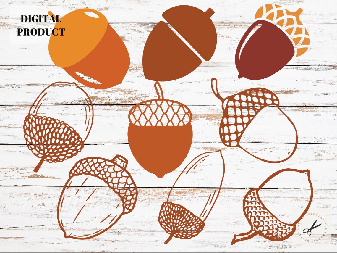Acorn SVG Bundle | Acorns PNG | Autumn Clipart | Cricut Cutfile - Etsy
