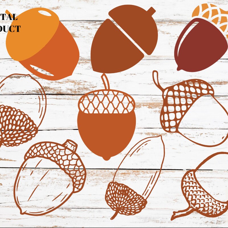 Acorn Clipart - Etsy