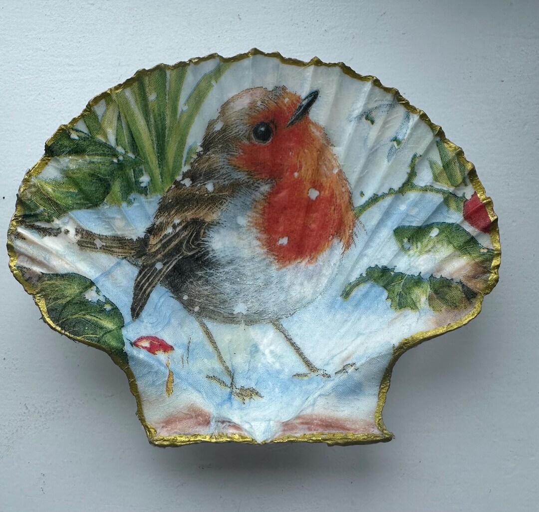 Robin Scallop Shell Trinket Dish large 12-13cm - Etsy UK