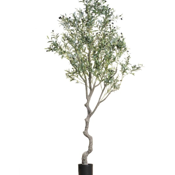 Crooked Tree - Etsy