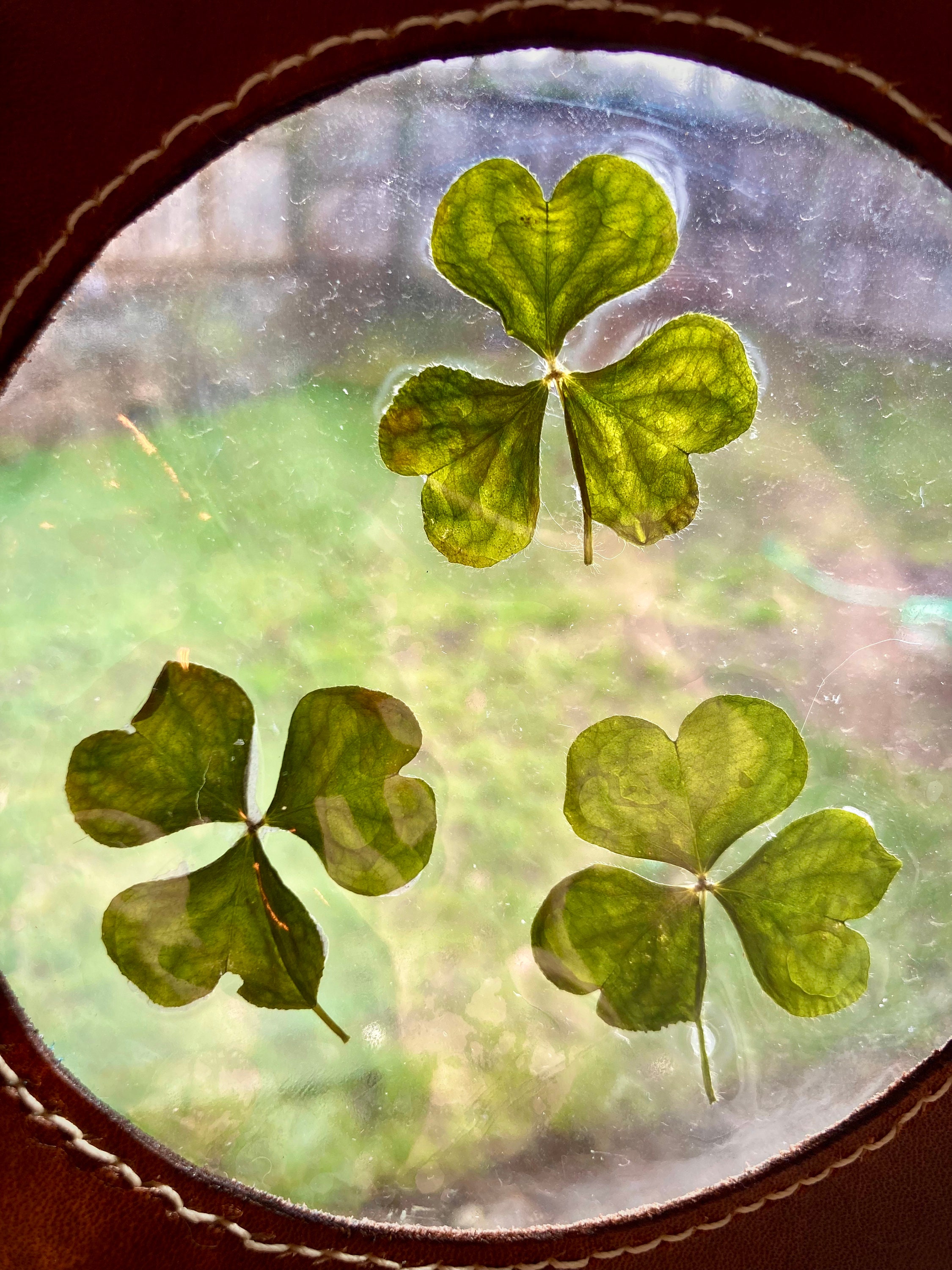 Hand-bound Leather Clover Journal - Etsy