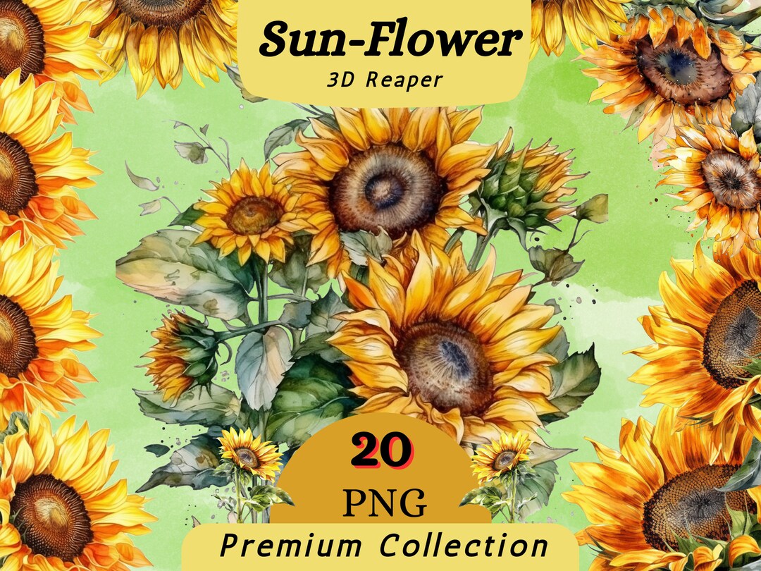 Sunflower Clip Art Bundle 20 PNG Images, High-quality, Multi-purpose ...