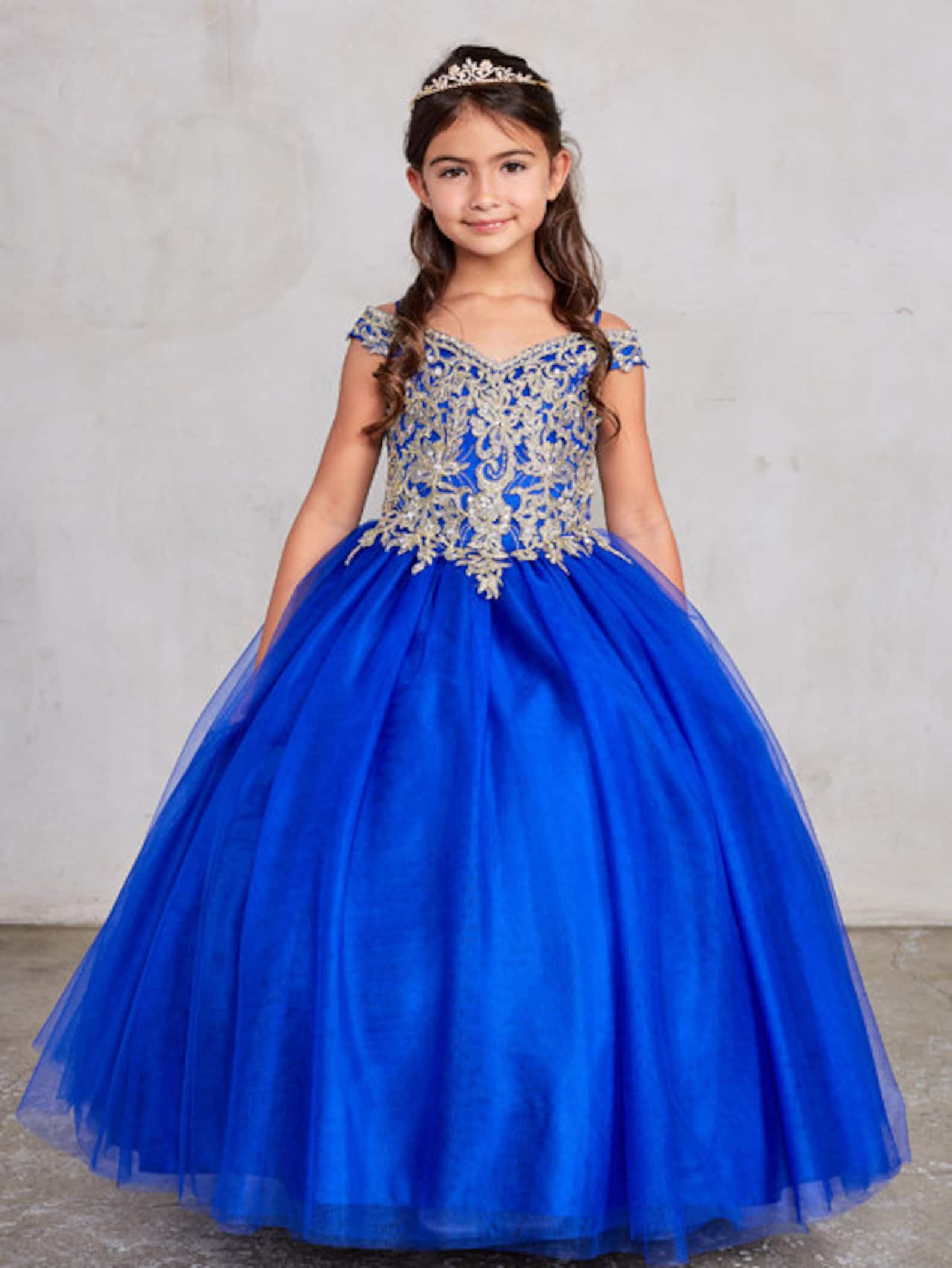 Little Girl Birthday Dress, Blue Princess Dress, Flower Girl Dress ...
