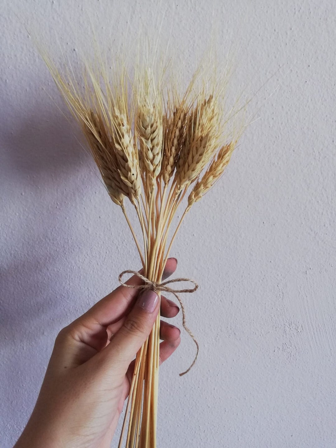 Wheat, Dry Wheat, Dried Flowers, Dry Flowers, Dried Bouquet, Natural ...