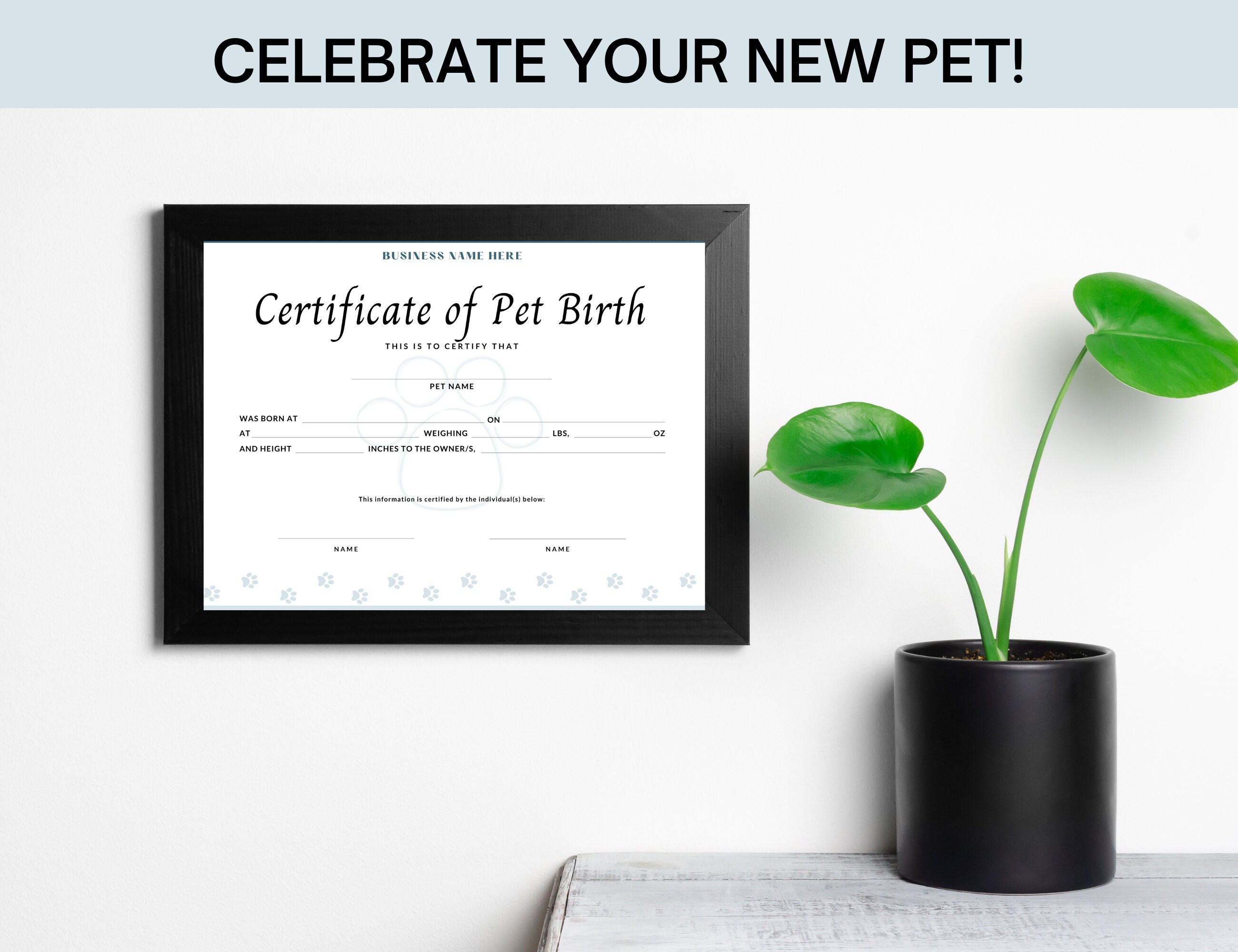 Breeder | Pet Birth Certificate | Dog Certificate | New Pet | Pet ...