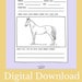 Printable Horse Camp Build Your Own Horse, Worksheet, Digital Download ...