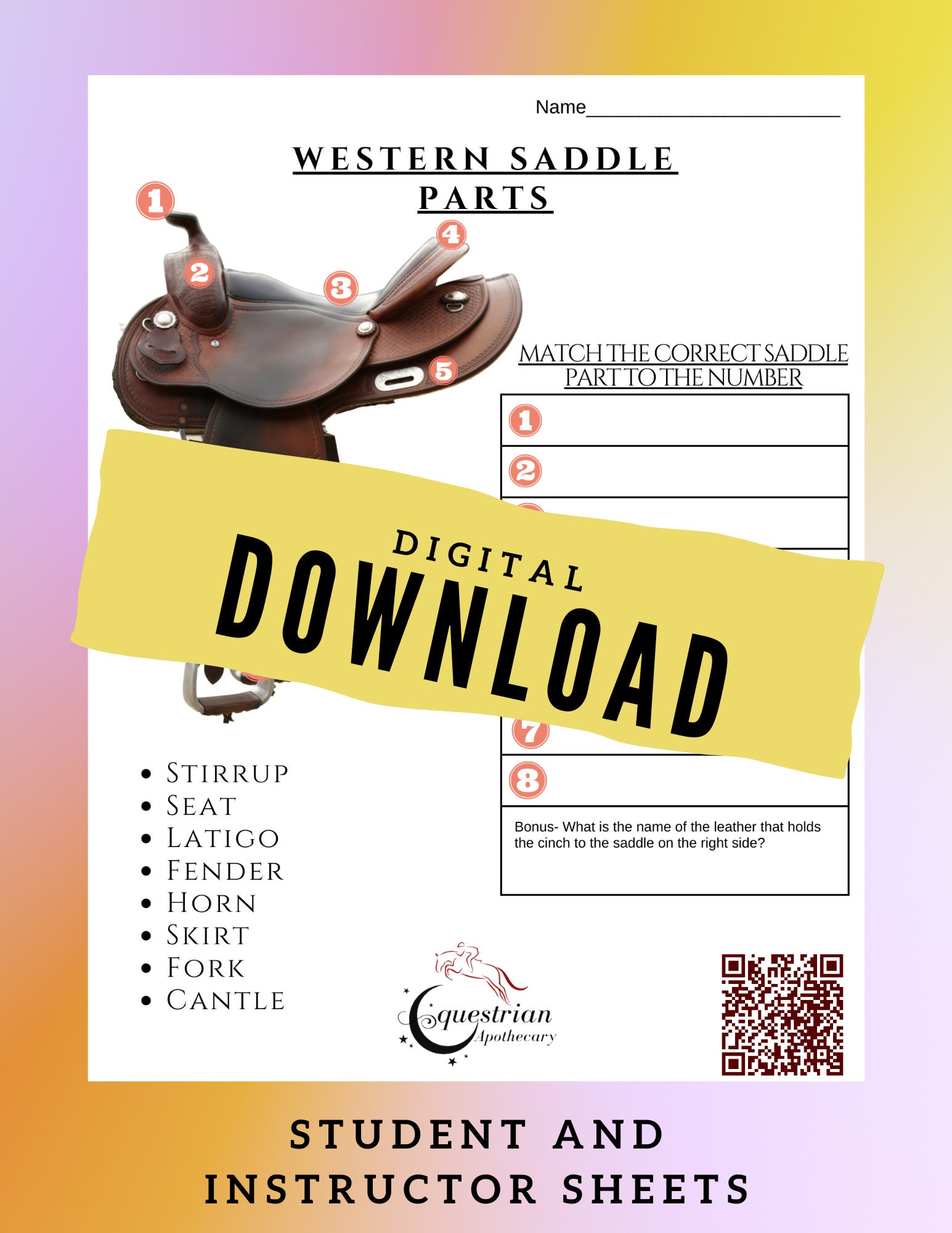 Printable Horse Camp/lessons Western and English Saddle Parts ...