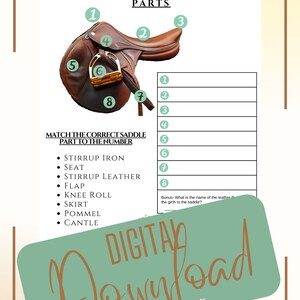 Printable Horse Camp/lessons Western and English Saddle Parts ...