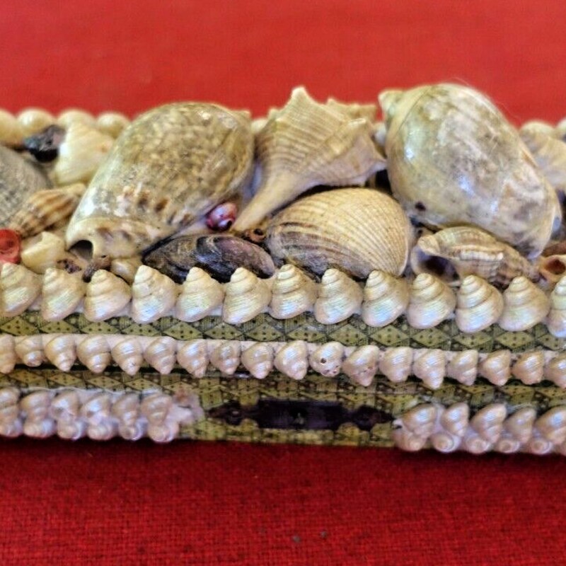 Shell Souvenirs - Etsy