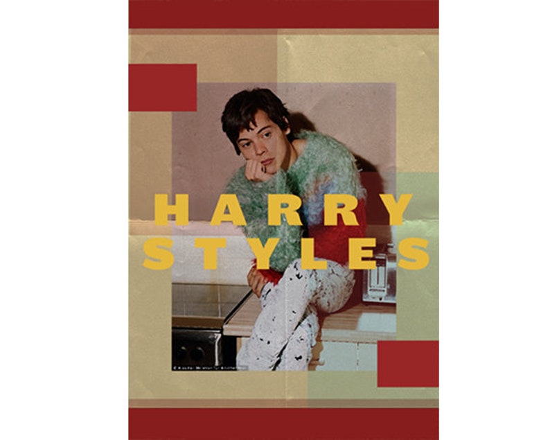 HARRY STYLES Poster Original Print Vintage Poster - Etsy