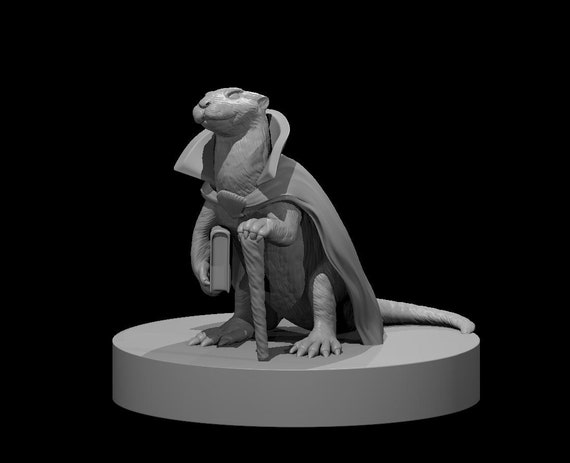 Traxigor the Otter Archmage compatible With D20 Roleplaying - Etsy