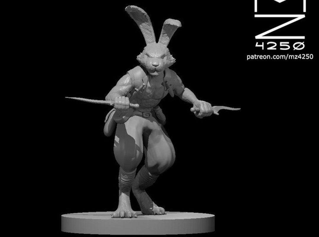 Shadowbound Harengon Rogue rabbit compatible With D20 - Etsy