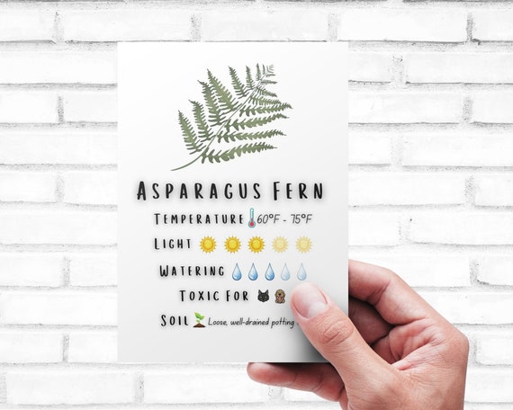 Plant Care Card Printable Quick Guide Download | Etsy