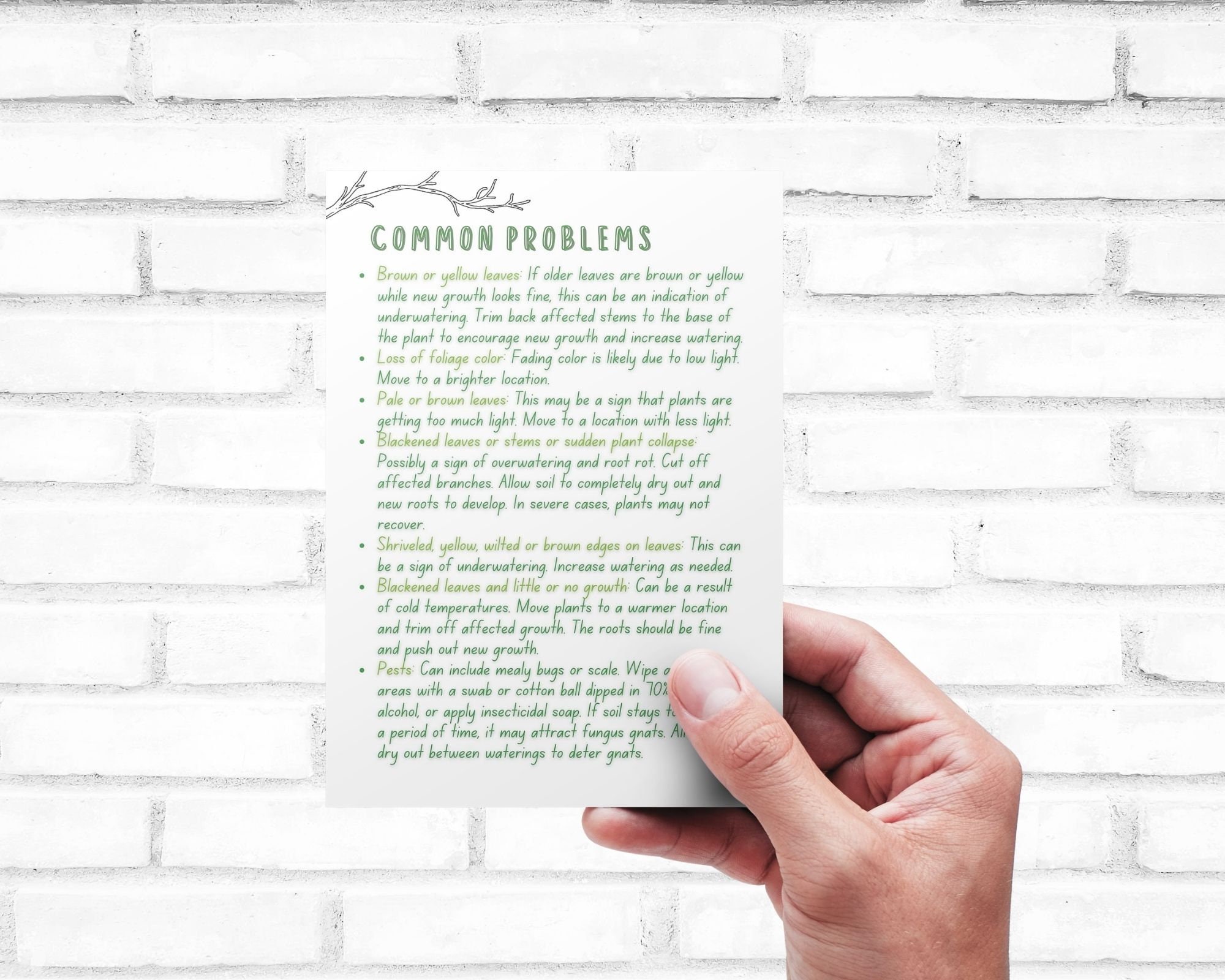 Plant Care Card - Printable | Quick Guide - Download | Pothos Care Card ...