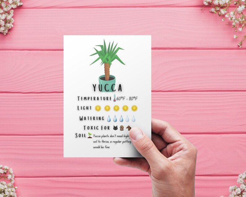 Plant Care Card - Printable | Quick Guide - Download | Yucca Plant Care ...