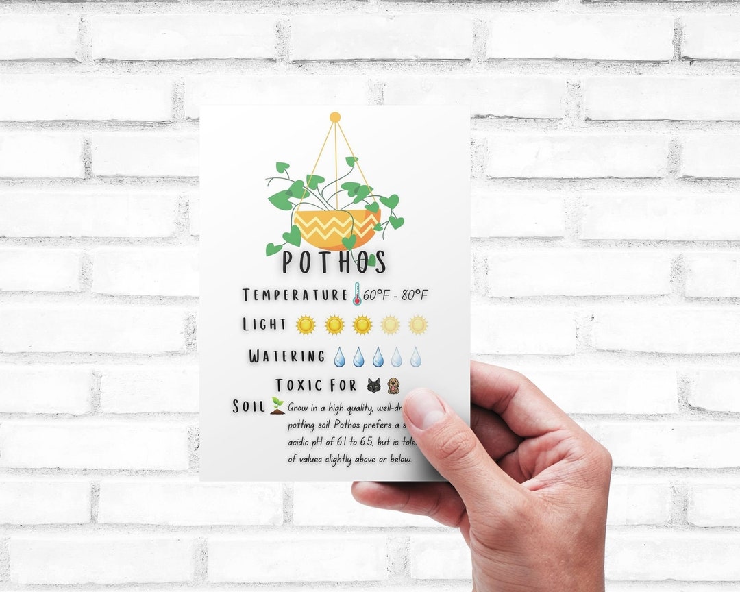 Plant Care Card - Printable | Quick Guide - Download | Pothos Care Card ...