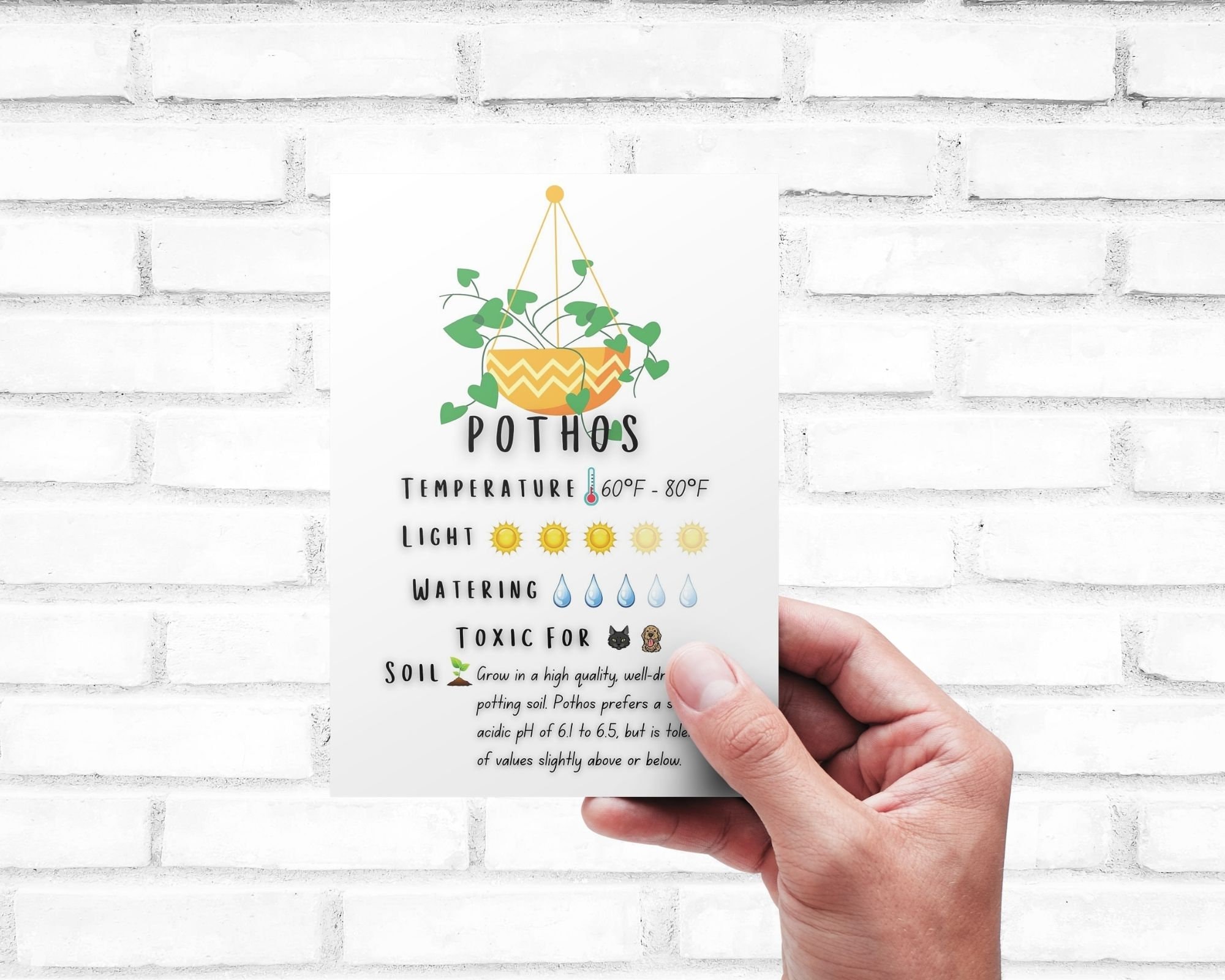 Plant Care Card - Printable | Quick Guide - Download | Pothos Care Card ...
