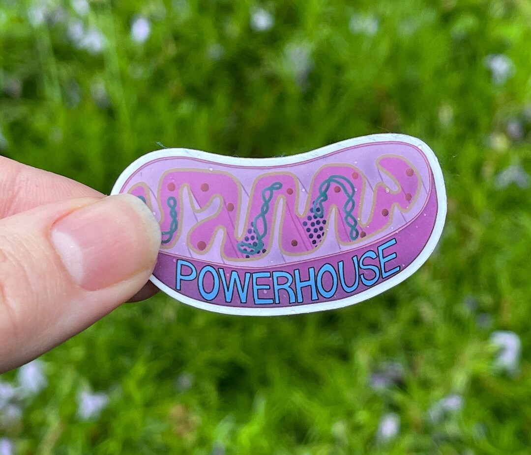 Powerhouse of the Cell Mitochondria Sticker for Medical Lab Science ...