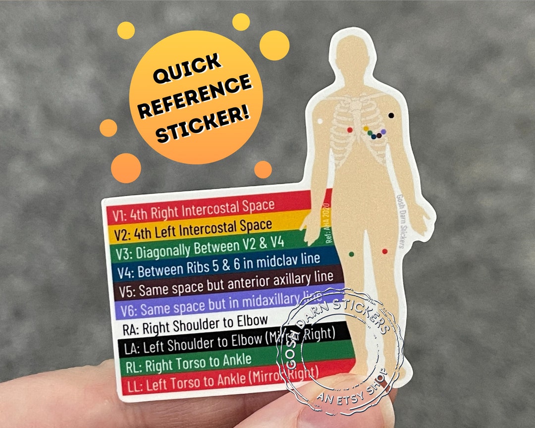 Emergency EMT Sticker Quick EKG Reference Stickers Essentials for New ...