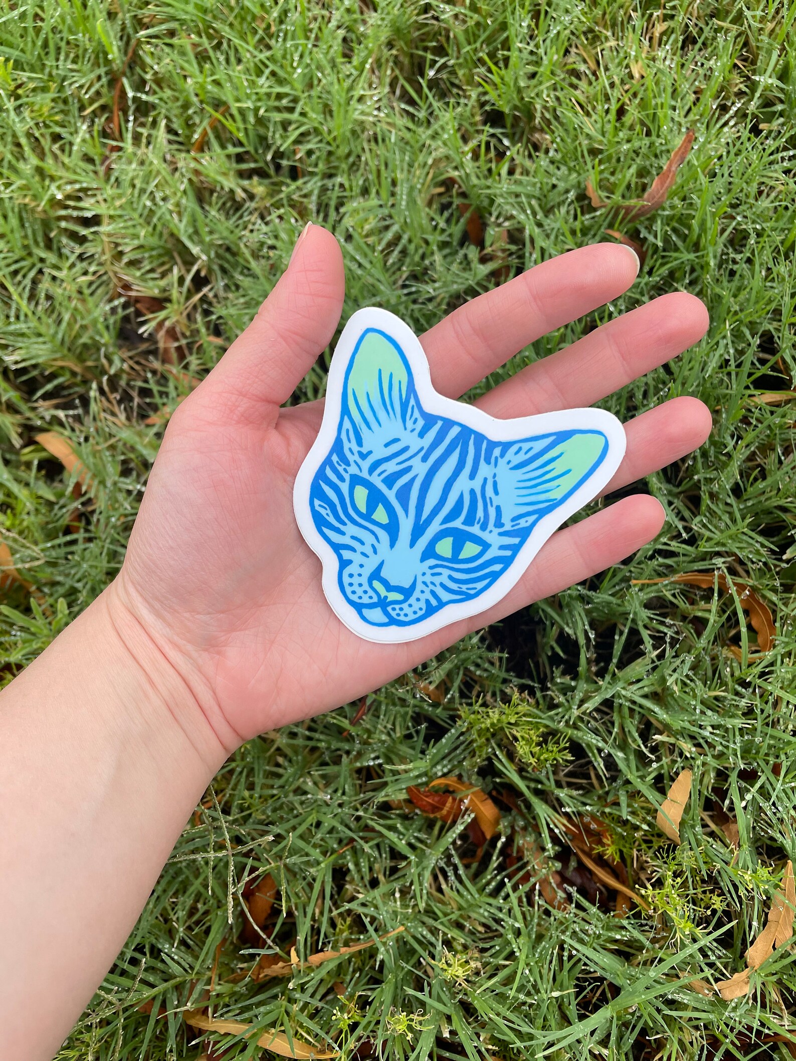 Indigo Cat Waterproof Sticker - Etsy