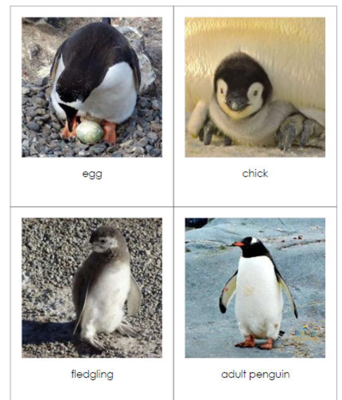 Winter Themed Preschool/kindergarten Worksheets for Classroom and ...