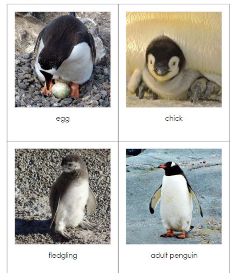 Winter Themed Preschool/kindergarten Worksheets for Classroom and ...