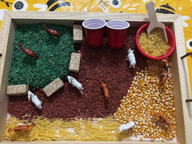 Farm Sensory Bin Kit: Fall Theme, Messy Play - Etsy