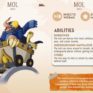 Mole / Animal Companions / Wizard Familiar / Dungeons and Dragons / Dnd ...