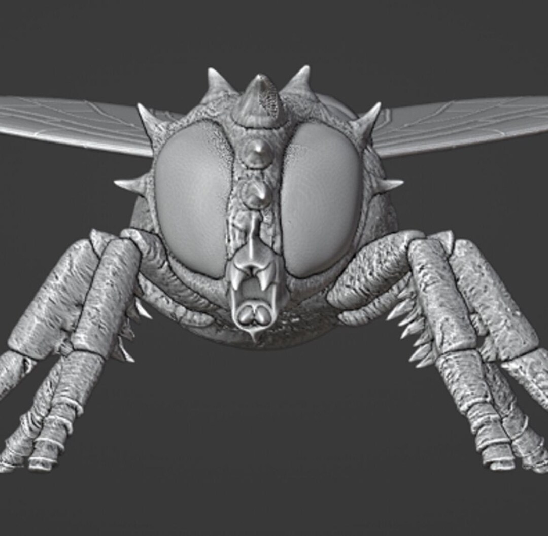 Giant Fly small, Medium, Large Sizes / Dnd / Pathfinder / 5e ...