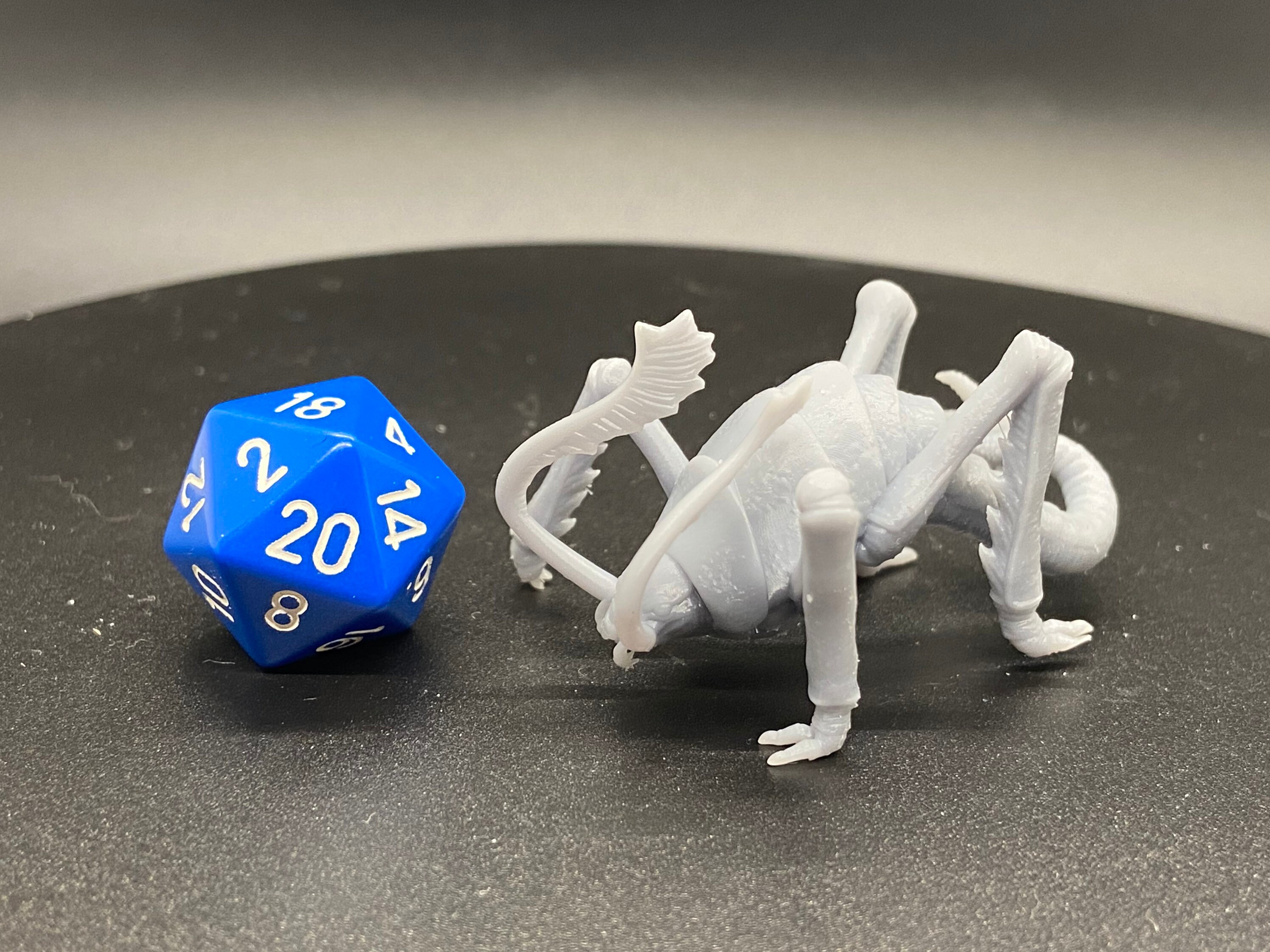 Rust Monster / Dungeons and Dragons / Classic Monster / - Etsy