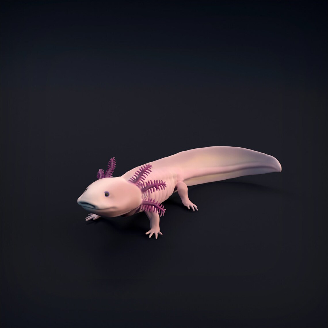 Axolotl / Tiny Beast / Dnd / 5e / Pathfinder / Animal Den - Etsy