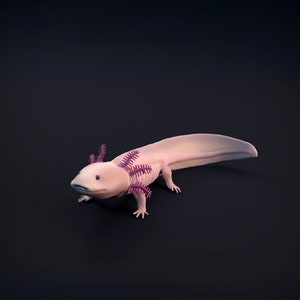 Axolotl / Tiny Beast / Dnd / 5e / Pathfinder / Animal Den Miniatures - Etsy