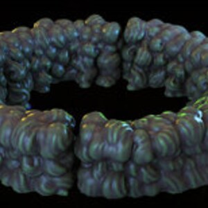 Stinking Cloud (4 Pieces) / Spell Effect / Dungeons and Dragons / Dnd ...