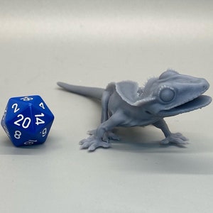 Crested Gecko / Tiny Beast / Dnd / 5e / Pathfinder / Animal Den ...