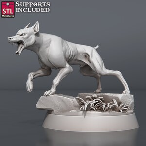 Pack of Wild Dogs (medium Beast) / Frostgrave / Dnd / Pathfinder / 5e ...