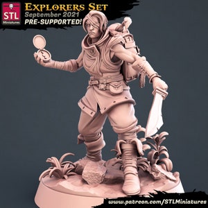 Explorer Set (4 Characters, 1 Companion, Plus Lots of Expeditionary ...